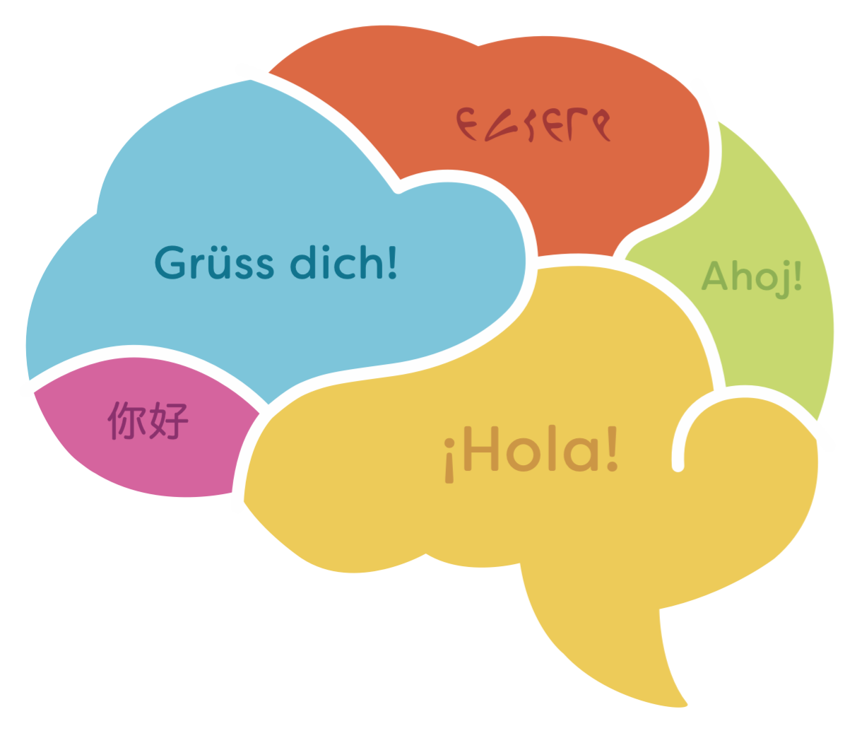 Fluent Forever Book – A Bestseller on Language Mastery – The companion ...